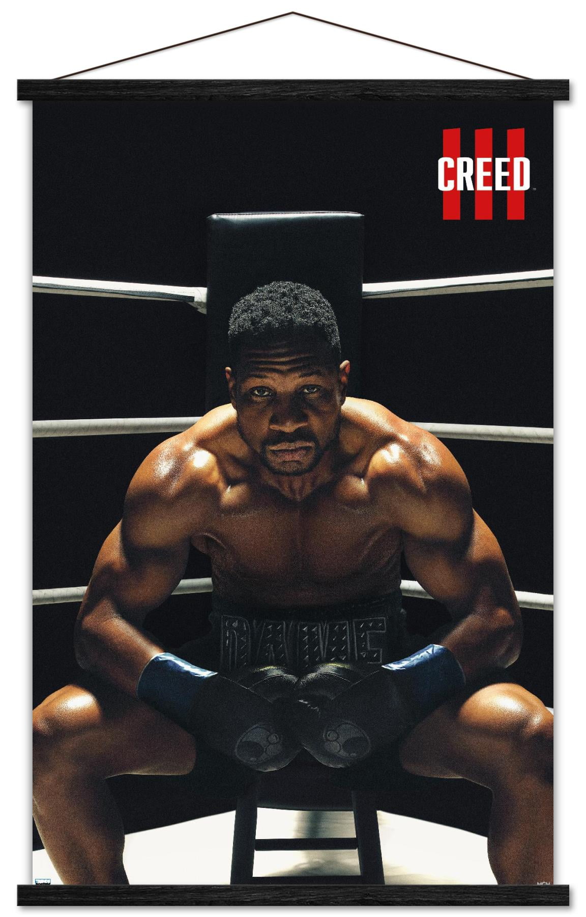 Creed III - Damian One Sheet Wall Poster with Magnetic Frame, 22.375" x ...