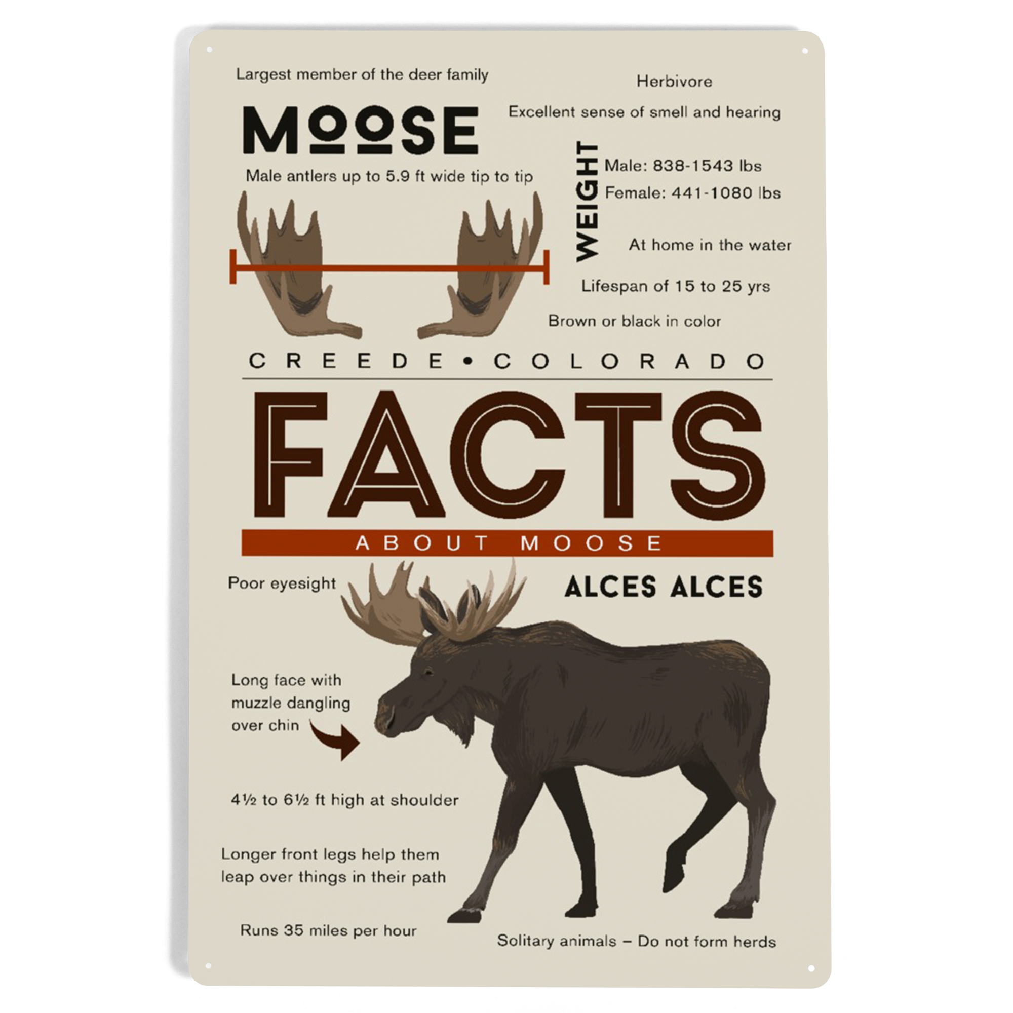 Creede, Colorado, Facts About Moose (12x18 Aluminum Art, Indoor Outdoor ...