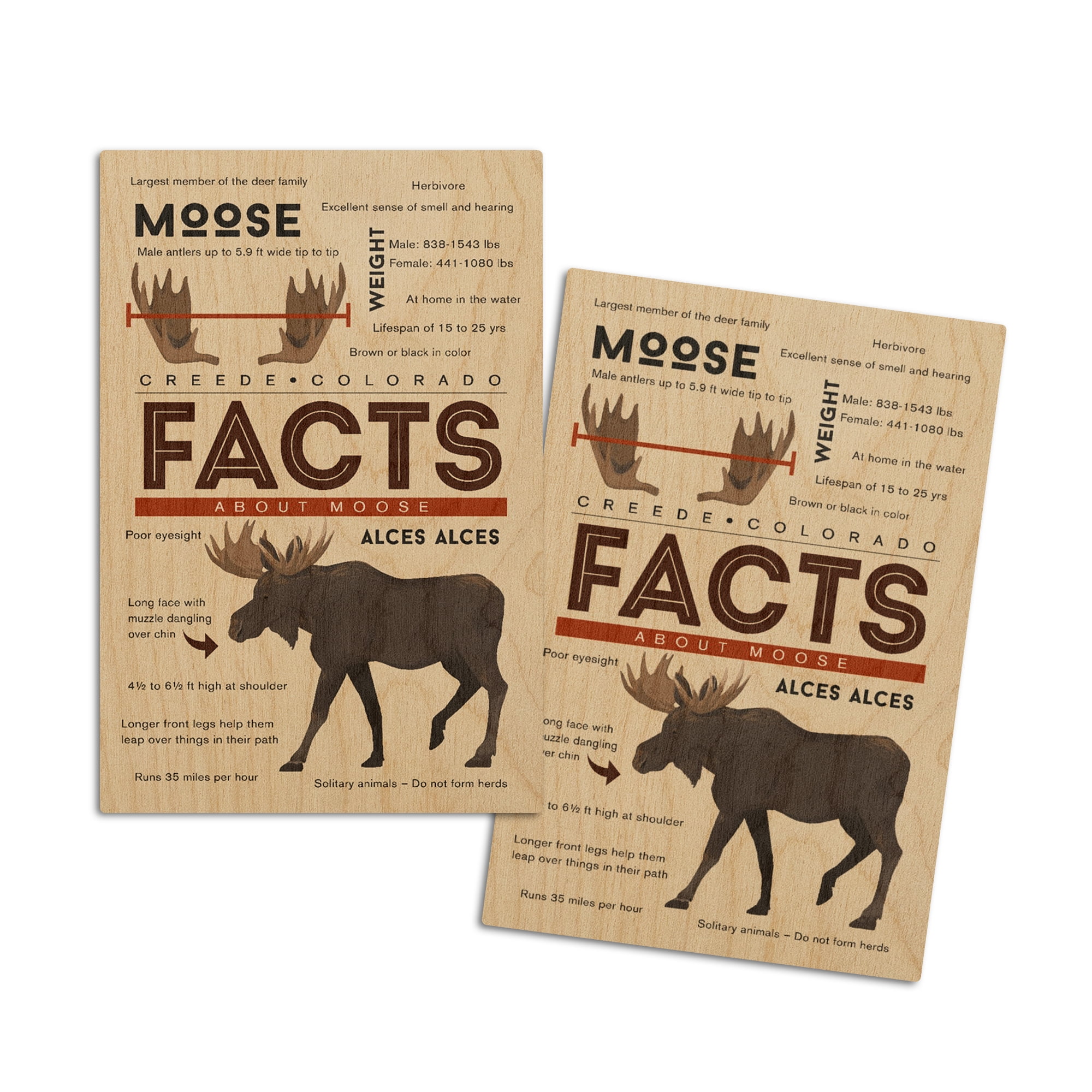 Creede, Colorado, Facts About Moose (4x6 Birch Wood Postcards, 2-Pack Stationary, Rustic Home ...