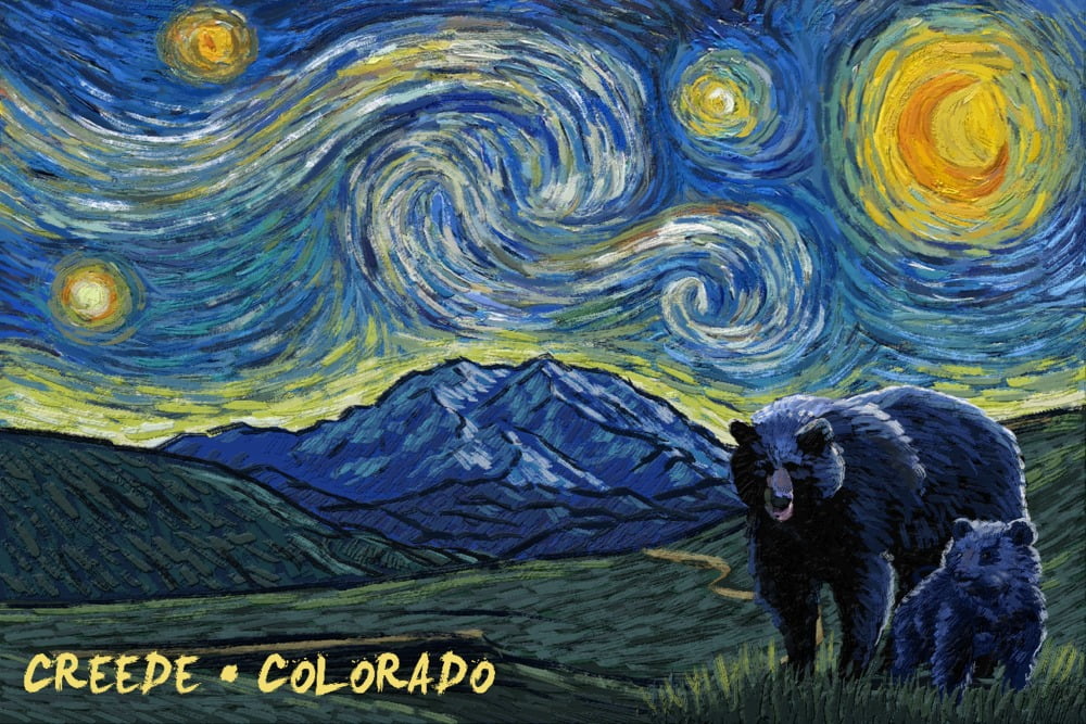 Creede, Colorado, Grizzly Bear and Cub, Starry Night (12x18 Wall Art ...