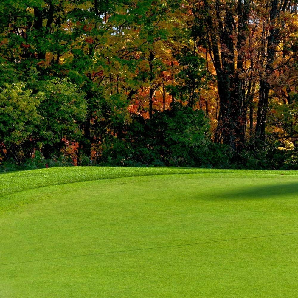 Creeping BentGrass Seeds,UMRT 5 Pounds - Walmart.com