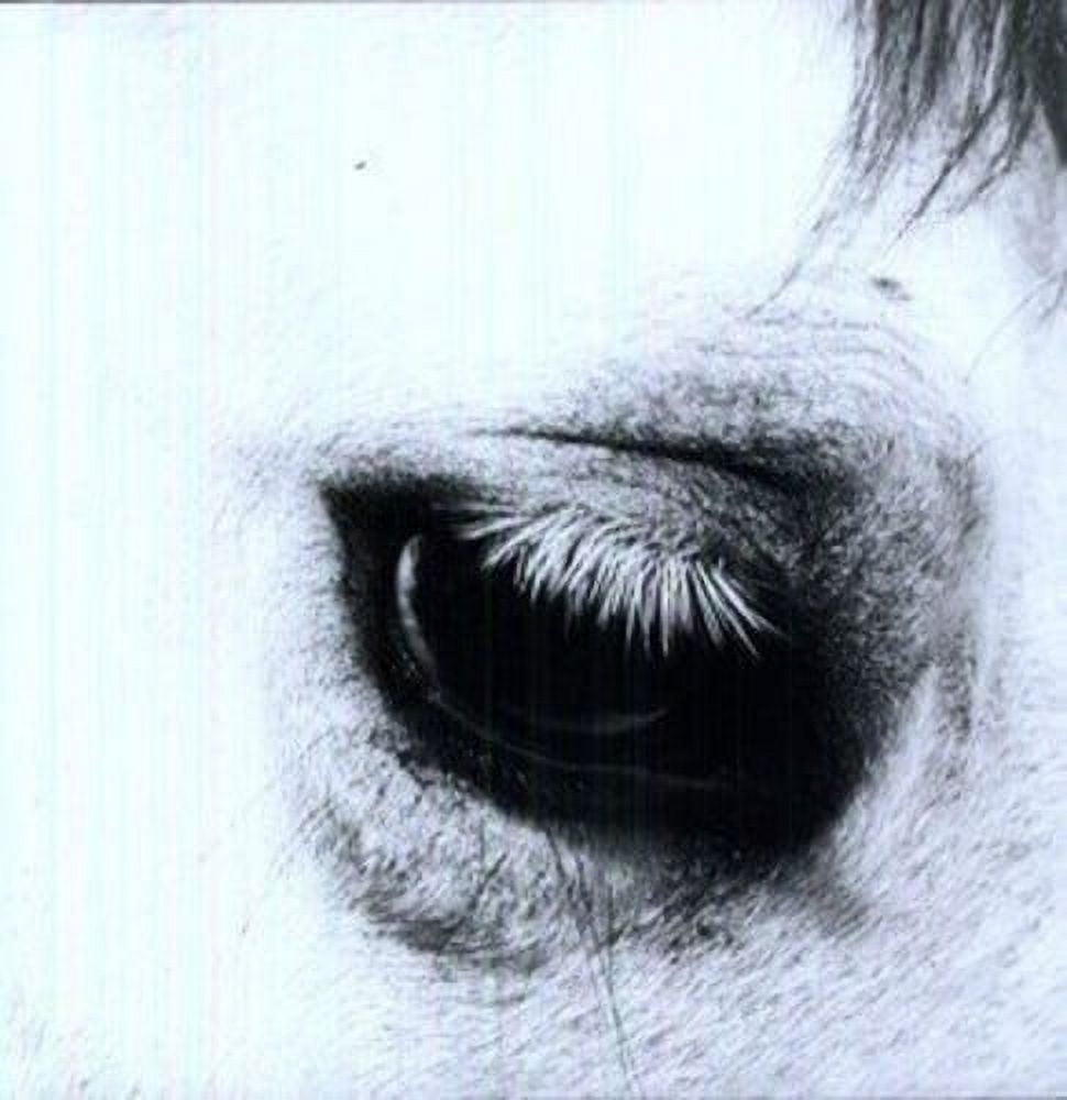 Creepoid - Horse Heaven - Music & Performance - Vinyl - Walmart.com