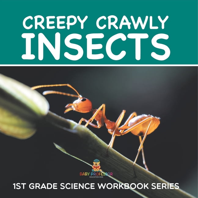 Creepy Crawly Insects: 1st Grade Science Workbook Series, (Paperback ...