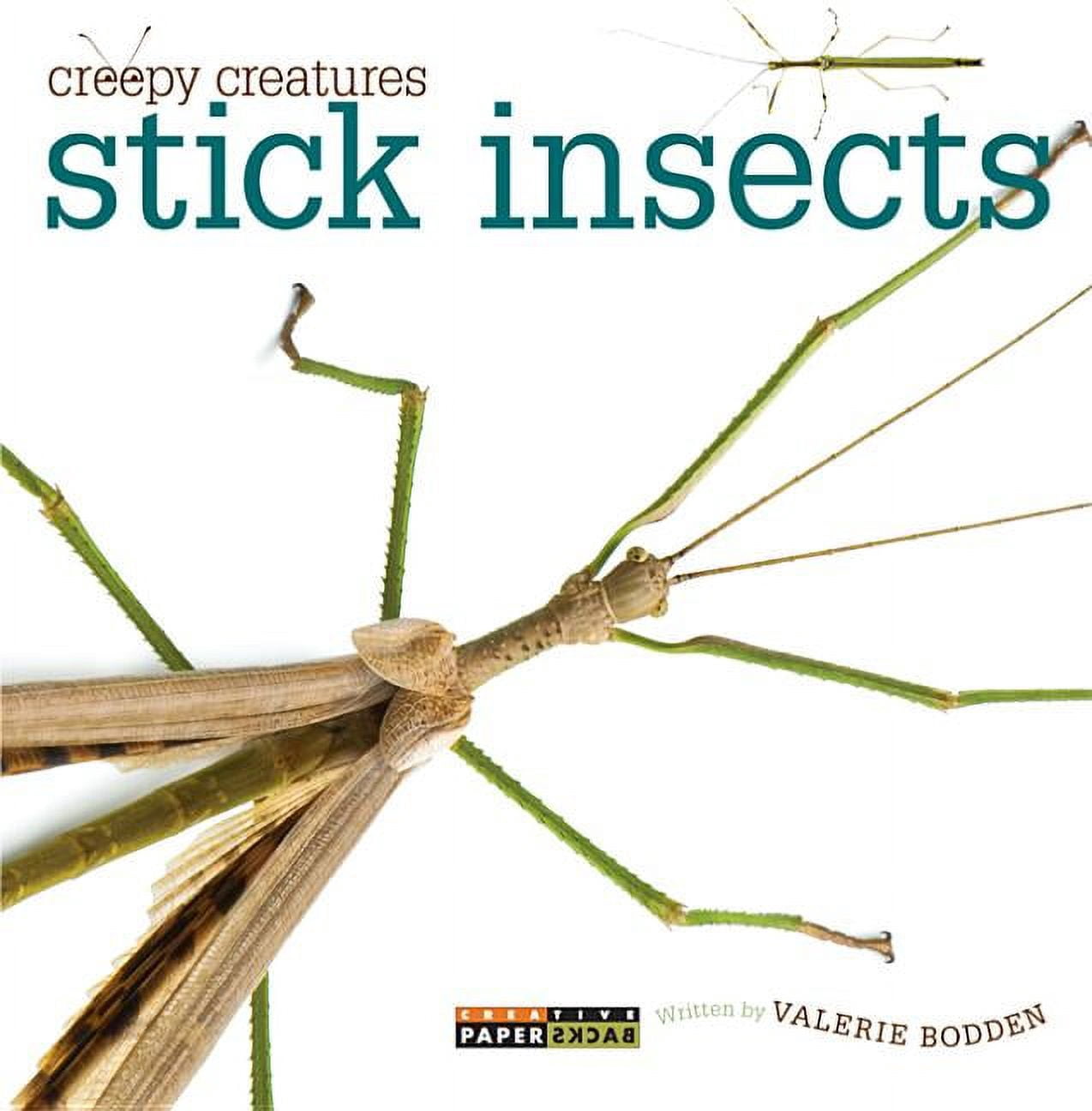 Creepy Creatures Stick Insects, (Paperback) - Walmart.com