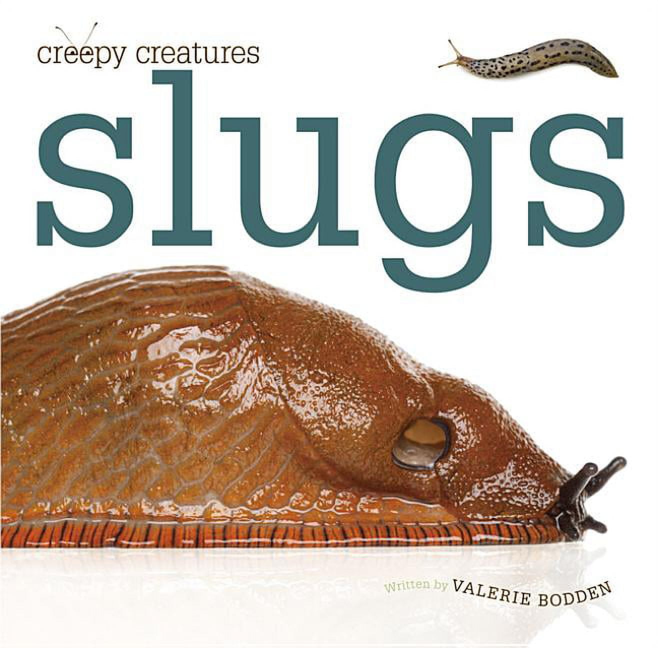 Creepy Creatures: Slugs (Paperback) - Walmart.com
