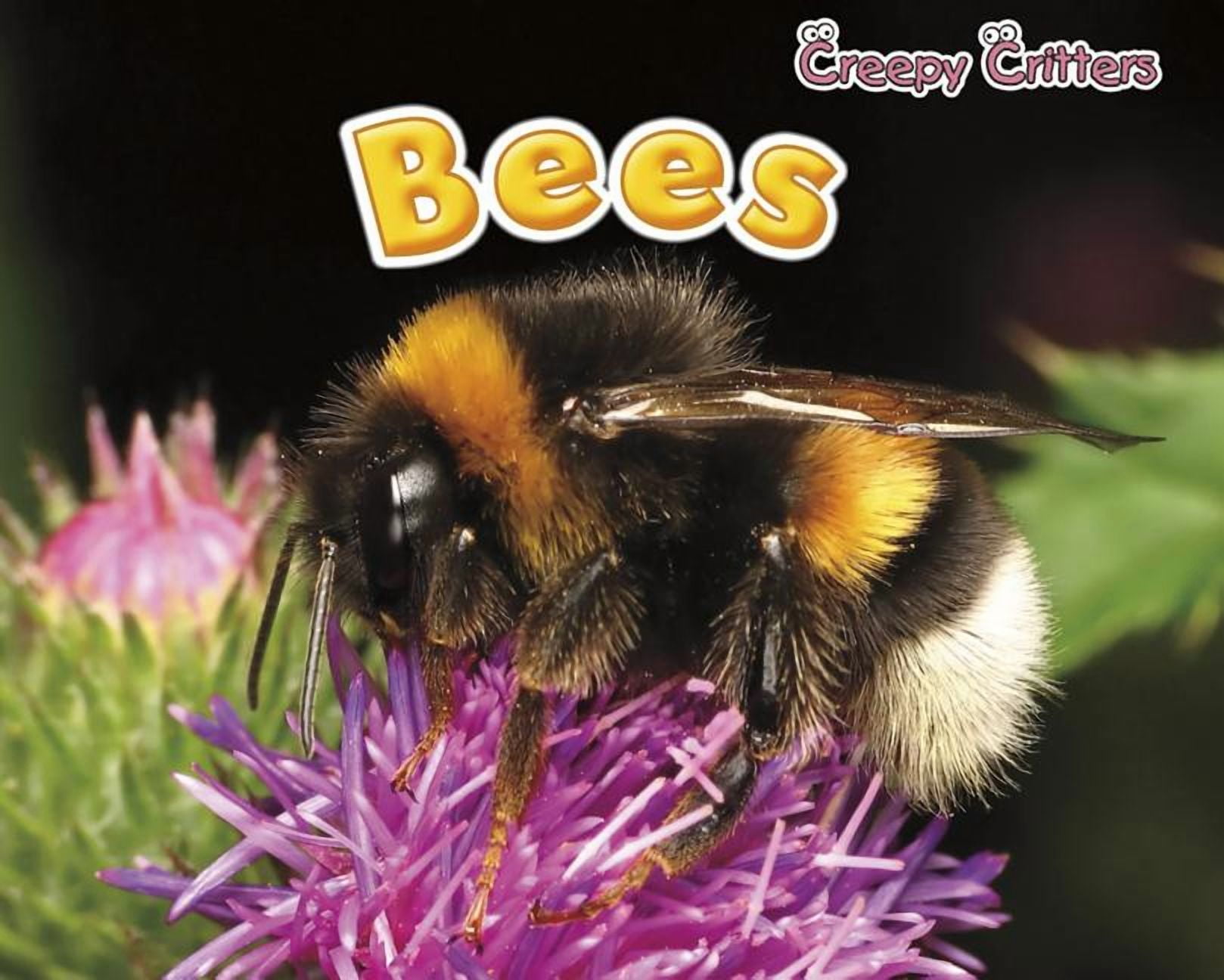 Creepy Critters Bees, (Paperback) - Walmart.com