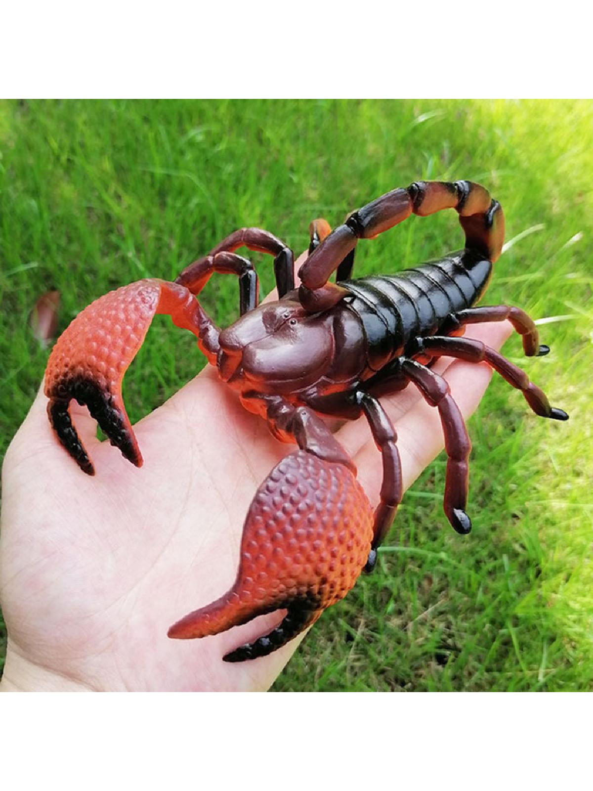 Creepy Lifelike Fake Spiders Cricket Ladybug Grasshoppe1nsectSimulation ...