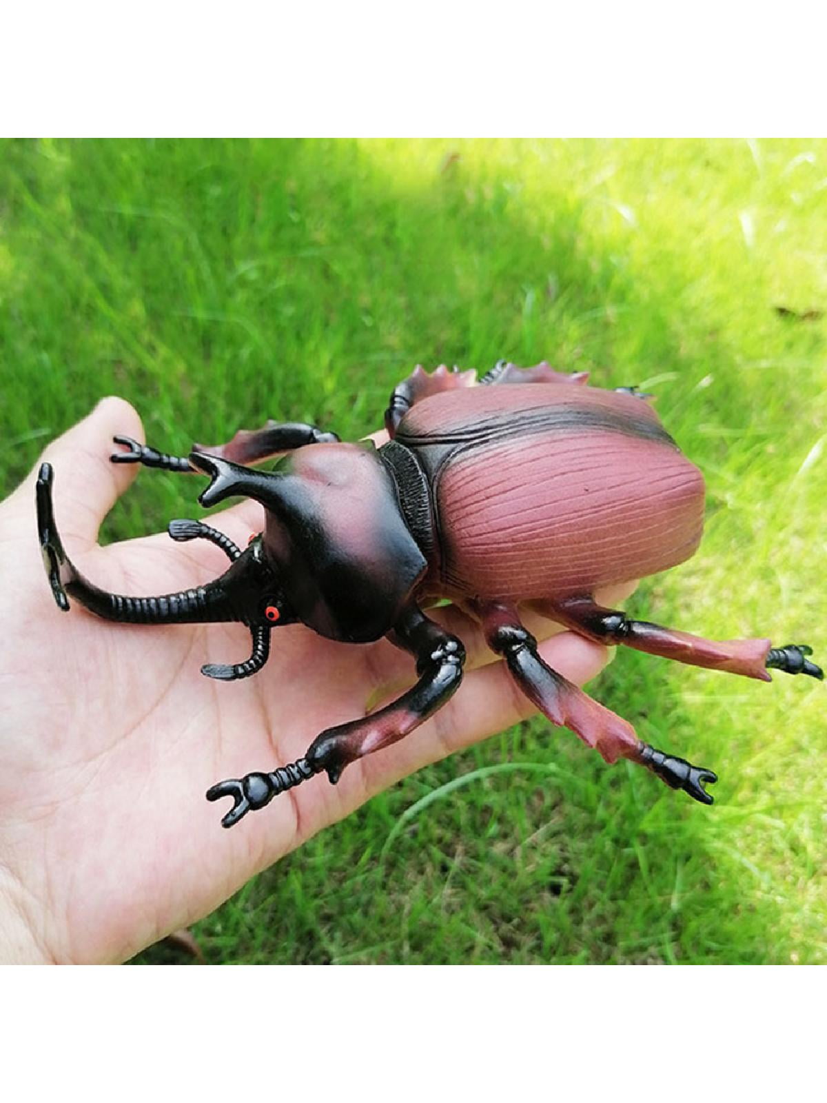 Creepy Lifelike Fake Spiders Cricket Ladybug Grasshoppe1nsectSimulation ...