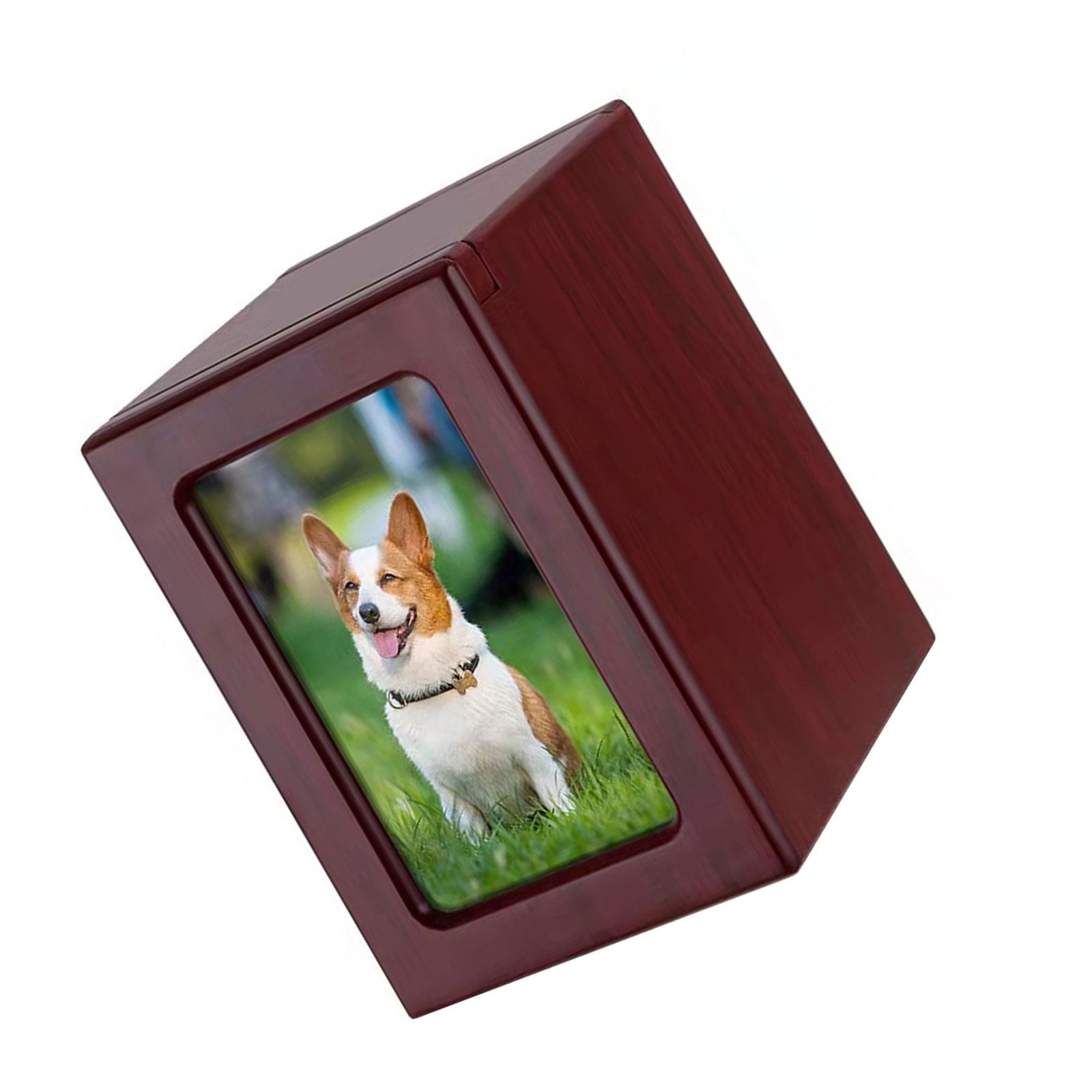 Cremation Urn Pet Cinerary Casket Memorial Box Ashes Funerary Pet Cats ...