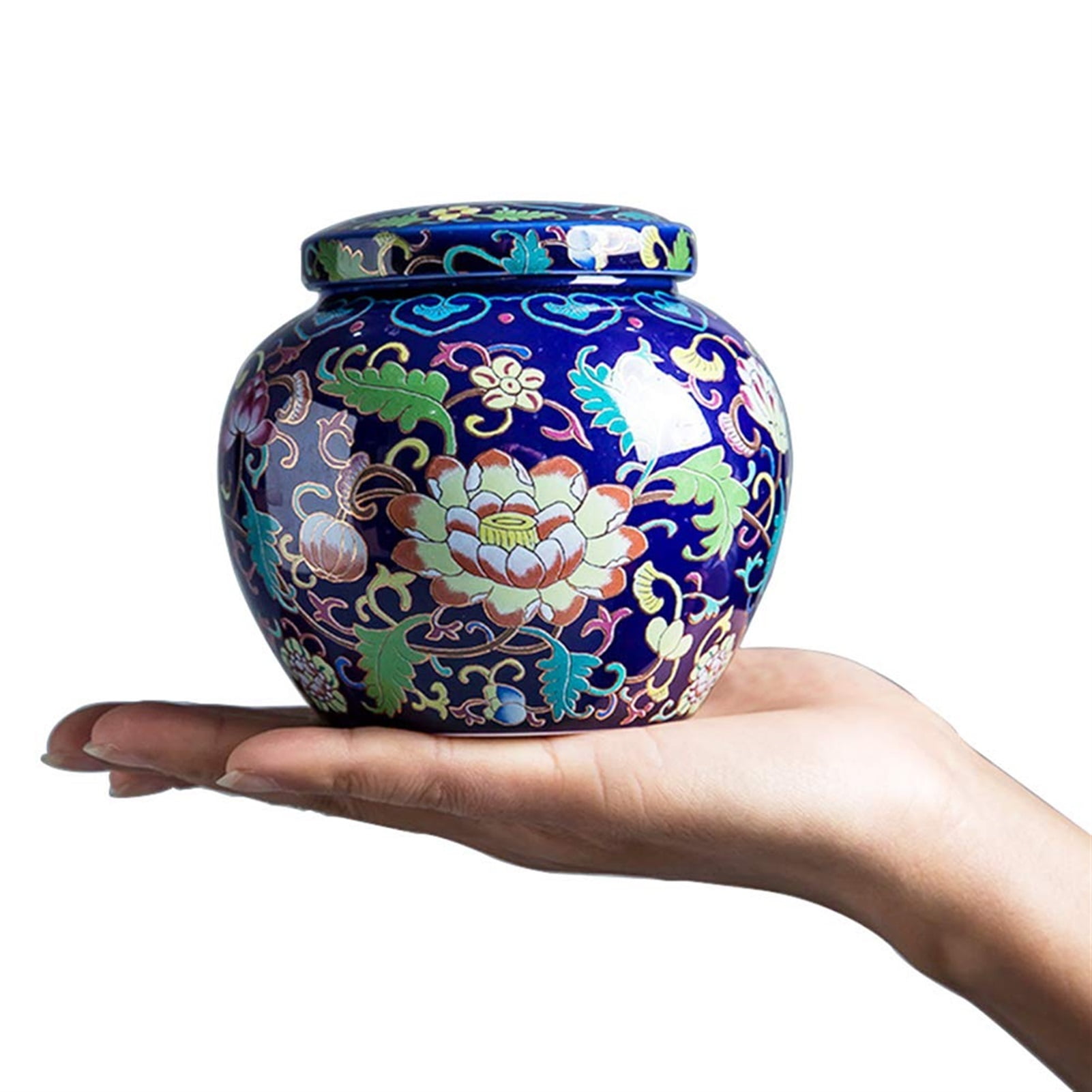 Cremation Urns For Human Ashes Pet Urn Jar Funeral Adult Small Pet For ...