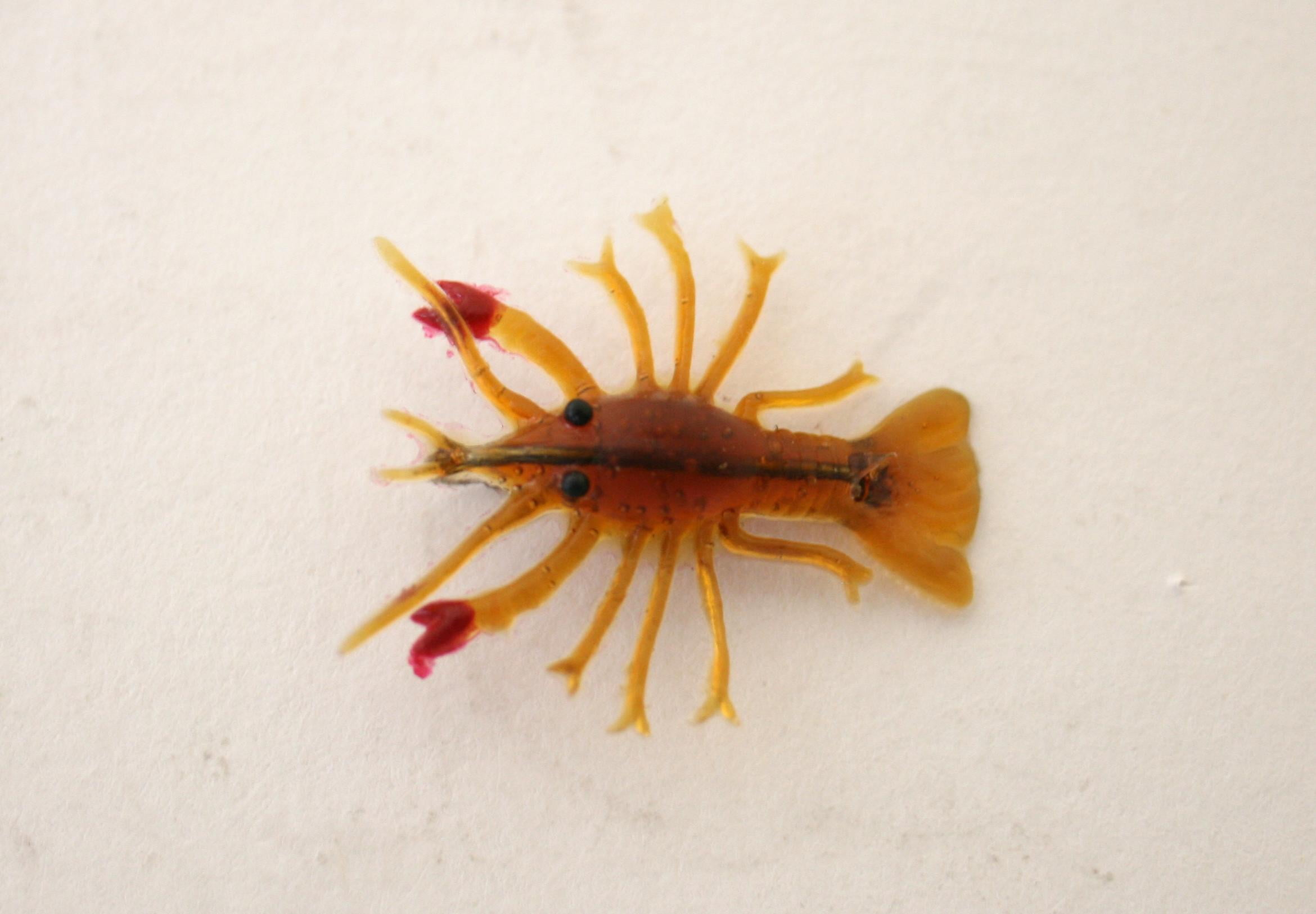 Creme 5160-22 Baby Crawfish 2 Per Pack 2 Per Pack - Walmart.com