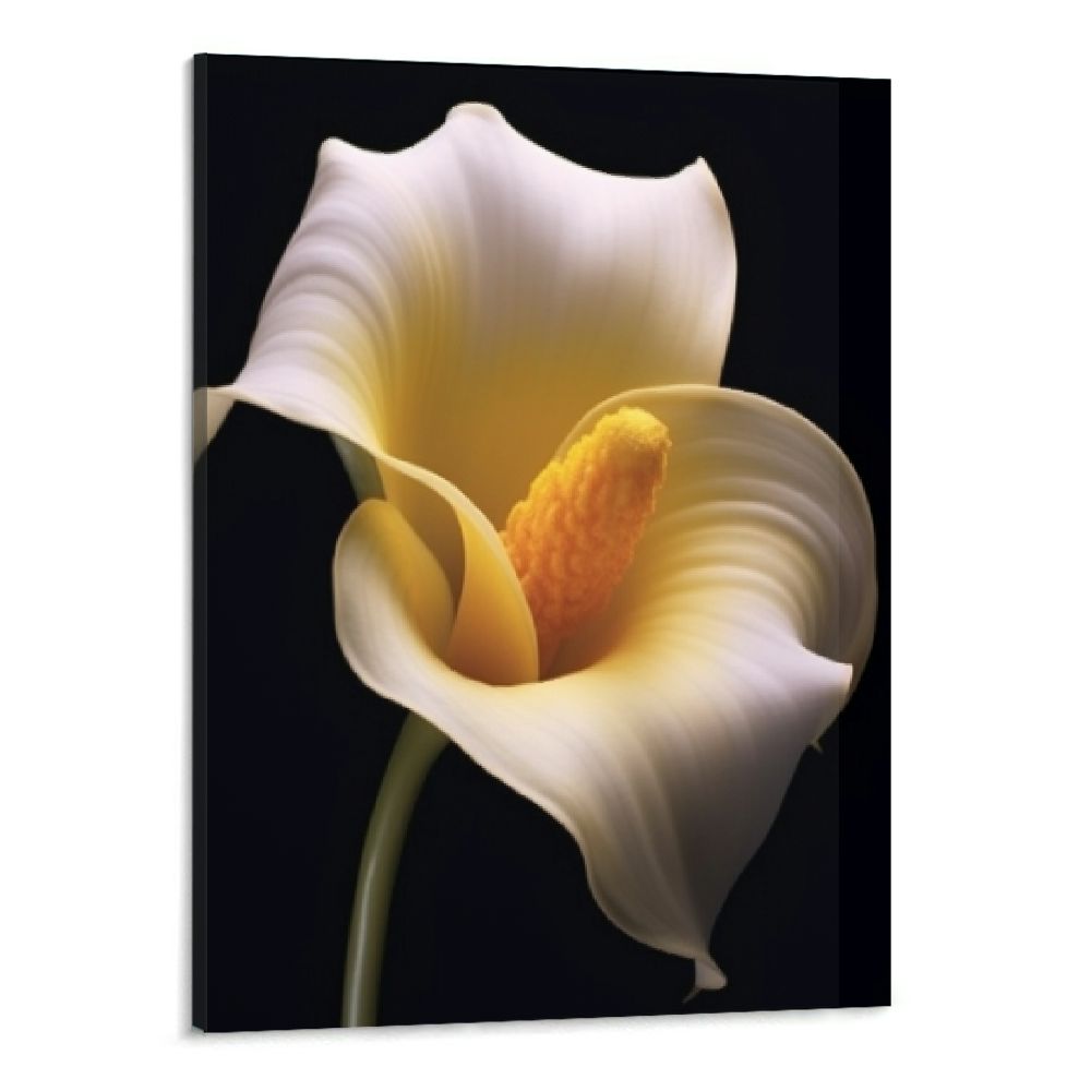 Creowell Beautiful Calla Lily Flower Canvas Poster Bedroom Decor Sports ...