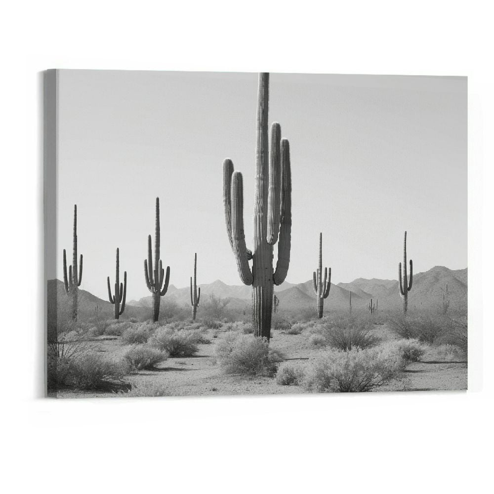 Creowell Black and White Plant Cactus Posters and Wall Art Picture ...