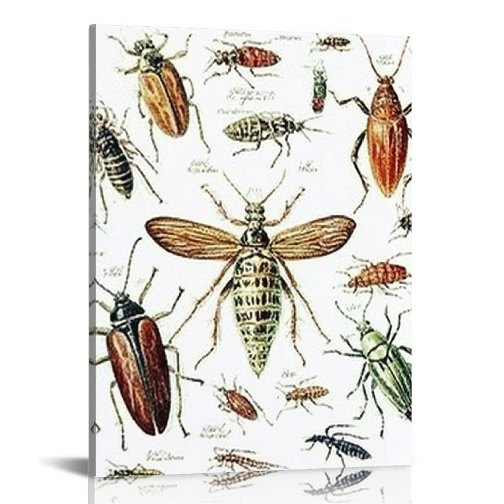 Creowell Bugs Print On Canvas Modern Art Prints for Home Decor Living ...