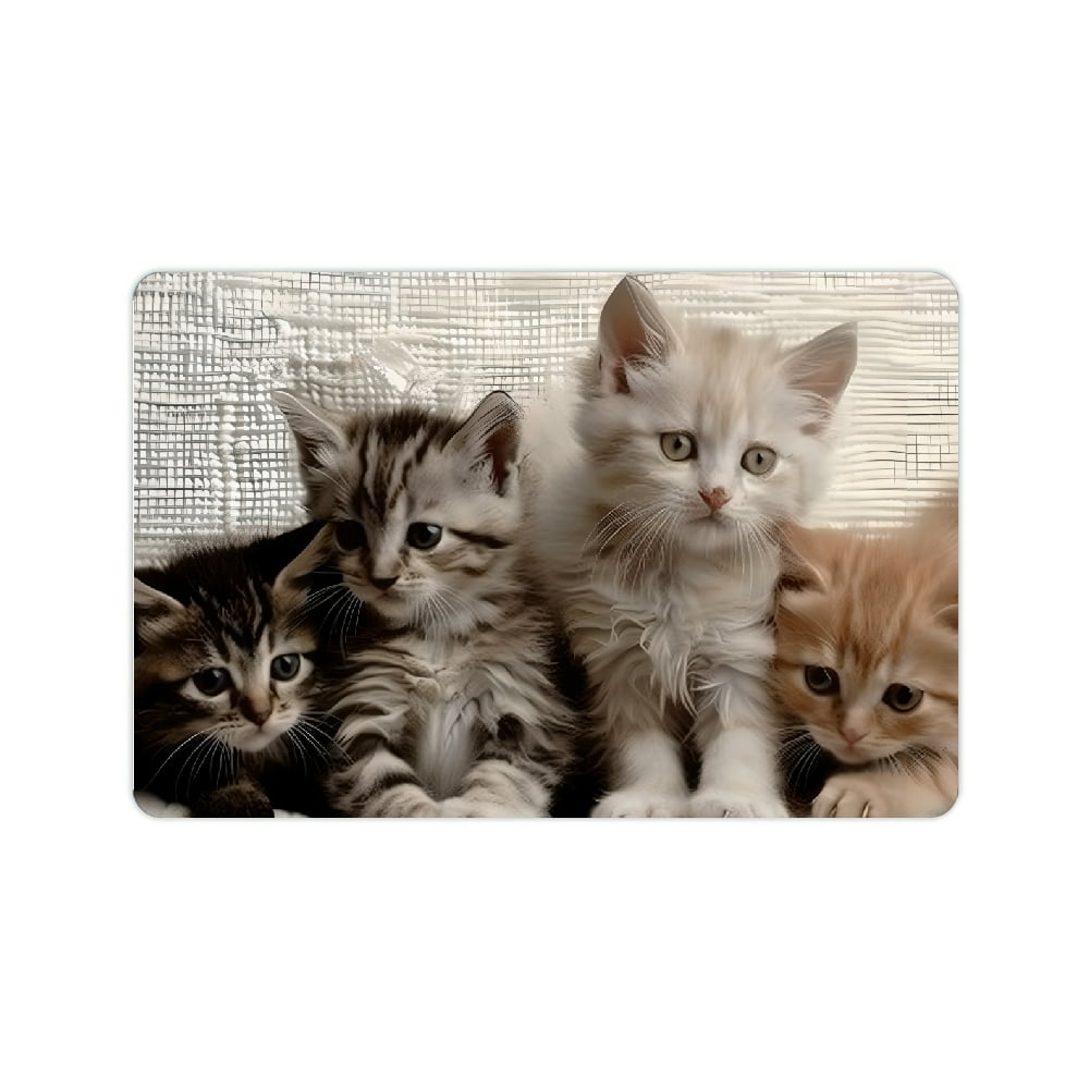 Creowell Cute Cat Diatom Mud Bath Mat Home Fast Absorption Rug 24x16in ...