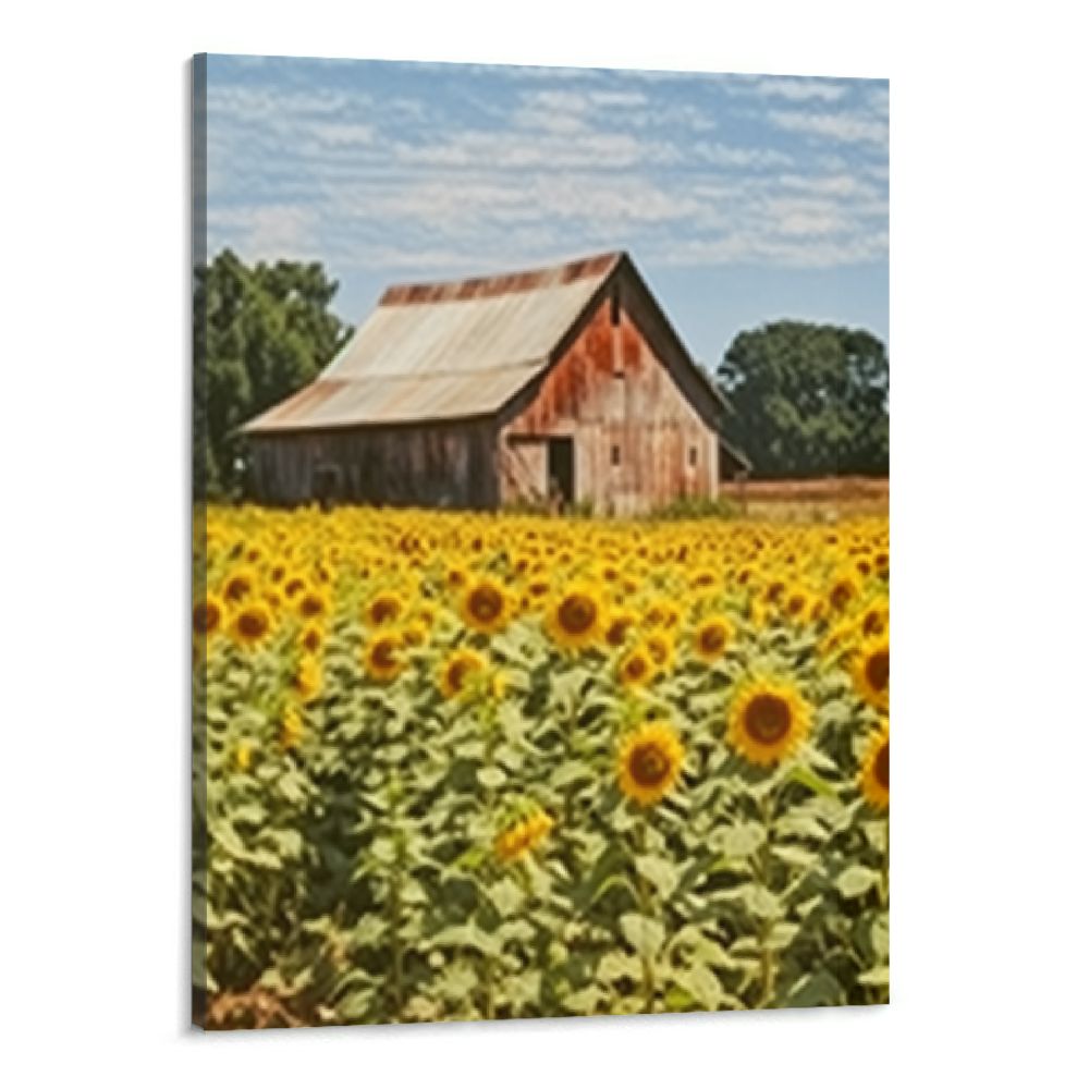 Creowell Framed Countryside Wall Art:Modern Farmhouse Sunflower Field ...