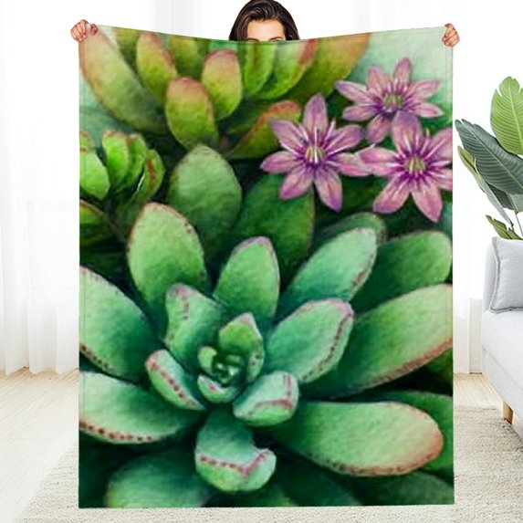 Creowell Fuzzy Fluffy Soft Cozy Blanket Succulent Plant Design 50*60in ...