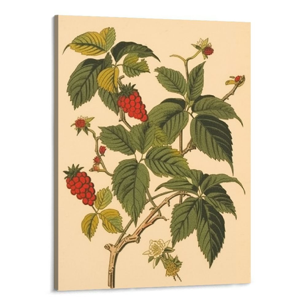 Creowell Irregular Painting And Prints Wild Strawberry Shape Canvas Art ...