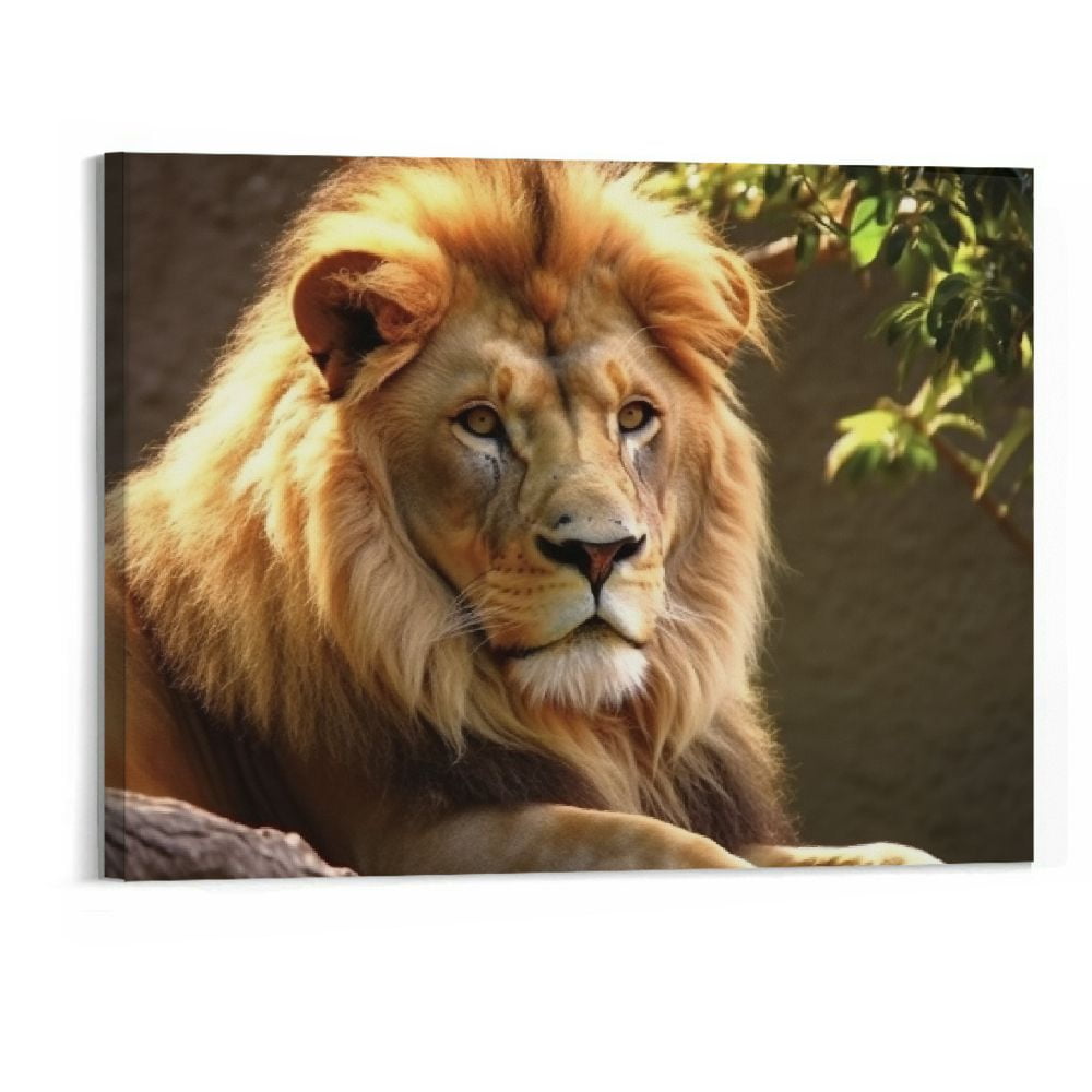 Creowell Lion Canvas Wall Art - Lion Lying On A Mountain Gazing At Far ...