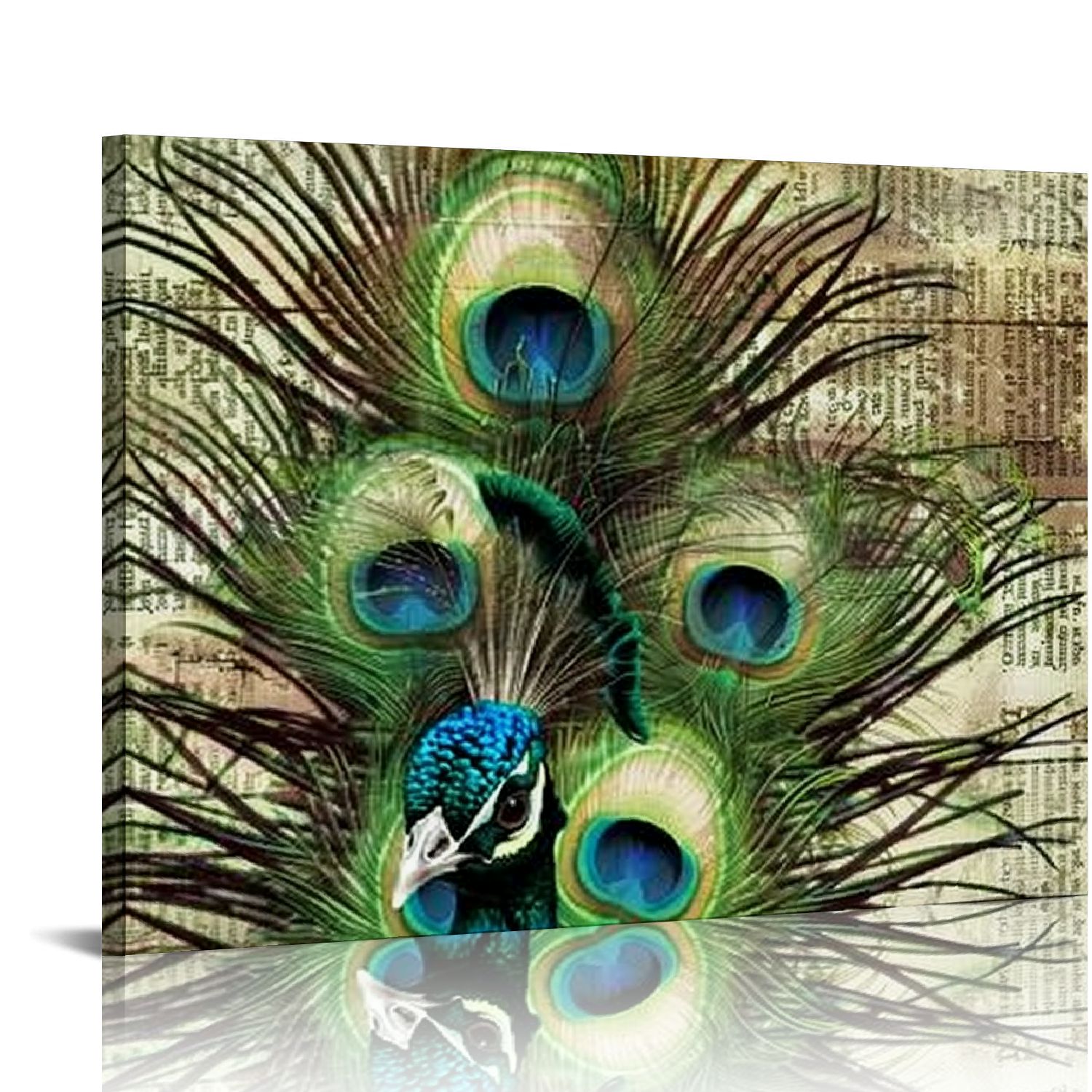 Creowell Peacock Feather Canvas Wall Art - Feather Pictures on Vintage ...