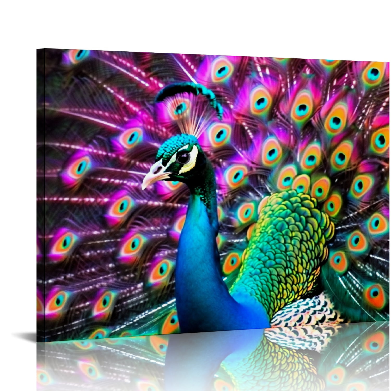 Creowell Peacock Feathers Canvas Wall Art Decor Ready To Hang 16x12in ...