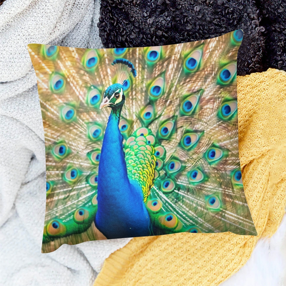 Creowell Peacock Feathers Square Cushion Cover for Home Sofa Couch ...