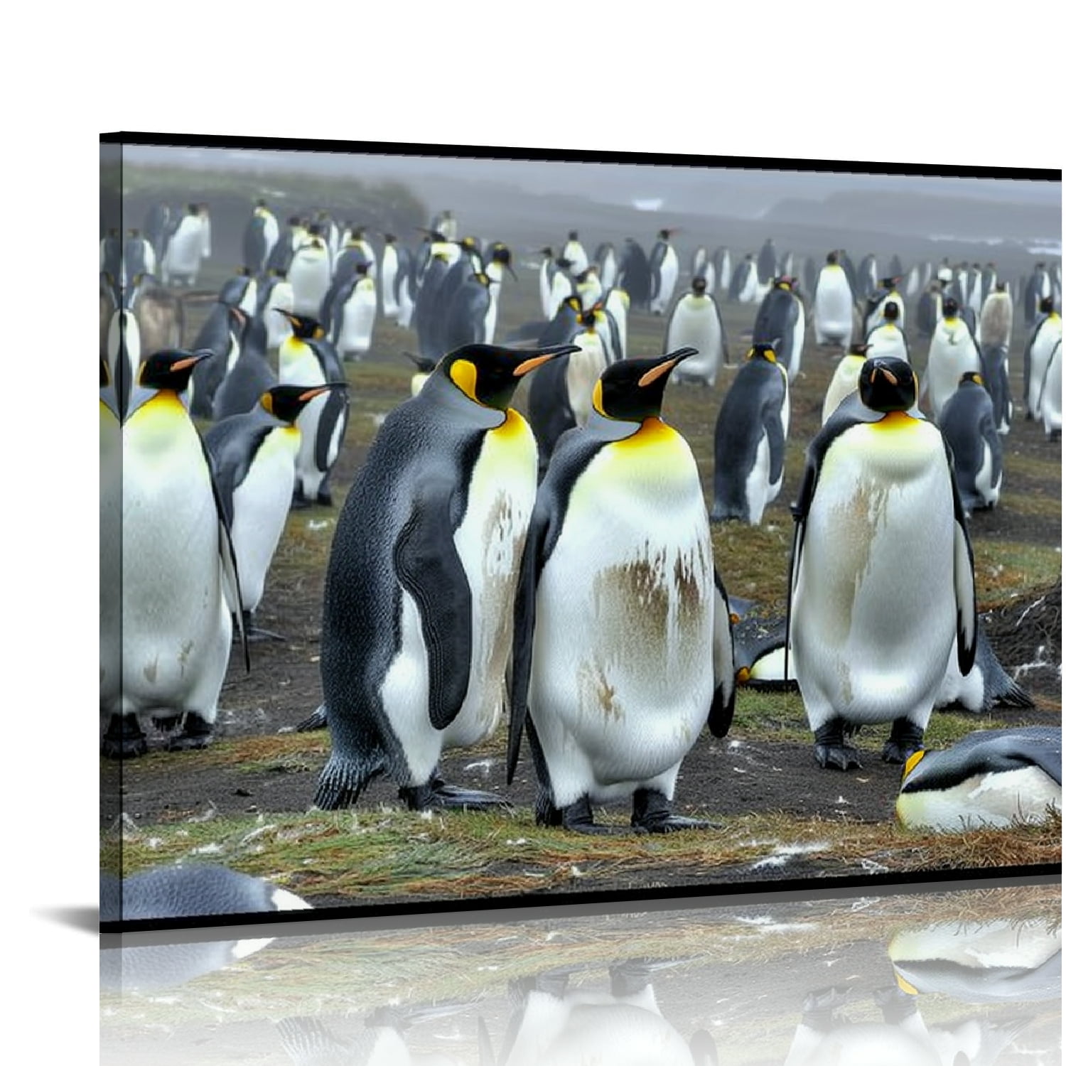 Creowell Penguins Wall Decor Canvas Print Ready To Hang Art 20x16in ...