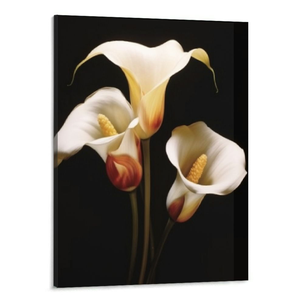 Creowell Refreshing Black And White Flowers Canvas Paintings Printed ...