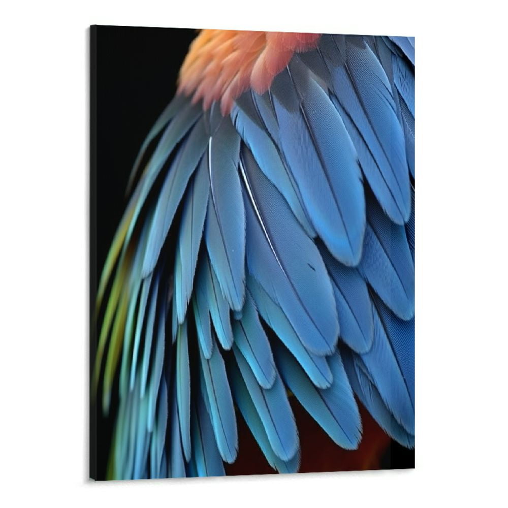 Creowell Room Poster Color Feather Canvas Painting Printing Animal Bird ...