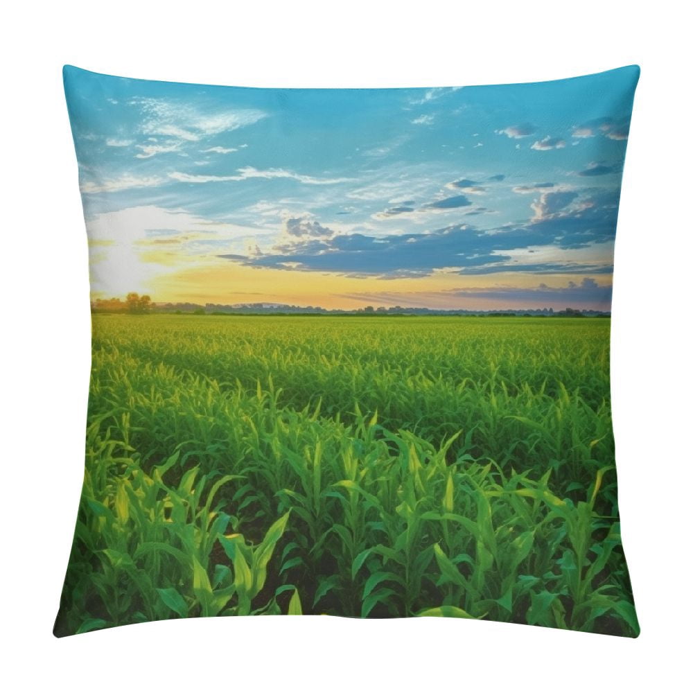 Creowell Sunset Grass Field Fashion Style Dirt-Resistant Throw Pillow ...