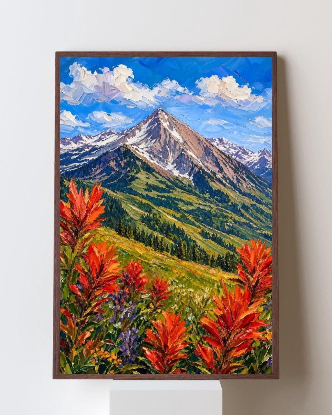 Crested Butte Colorado Wildflower Mt Landscape Indian Paintbrush Meadow ...
