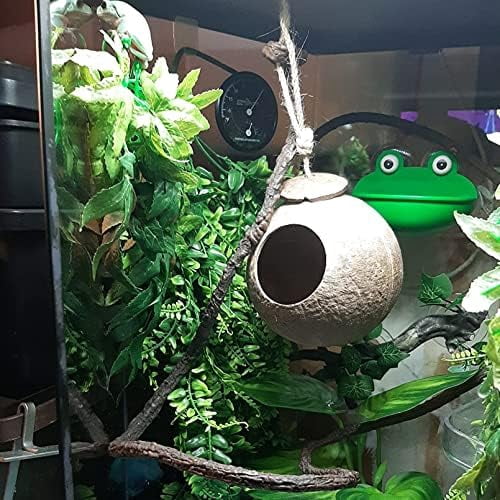 Crested Gecko Coconut Hide Natural Lizard Coco Hut Reptile Hanging Nest ...