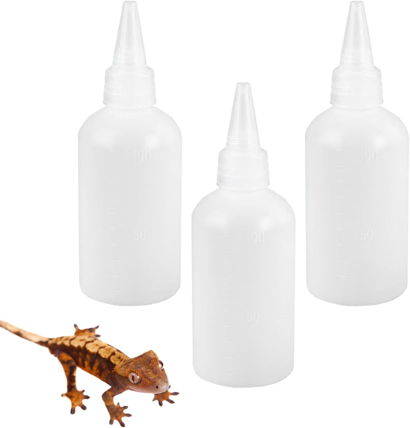 Crested Gecko Food and Water Feeding Bottle Feeding Ledge for Chameleon ...