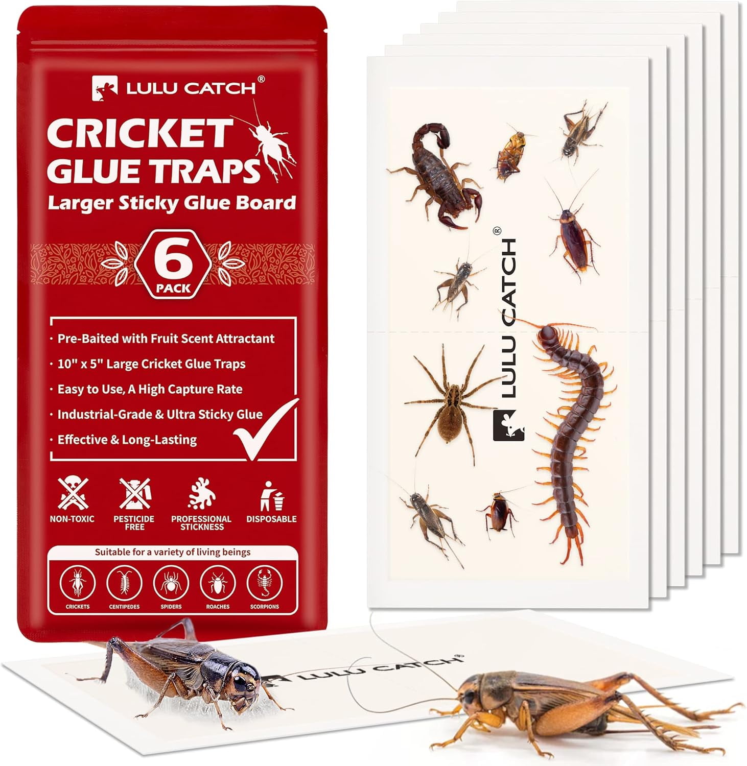 Cricket Insect Glue Traps - 6 Pack Bug Cockroach Sticky Traps, Large ...