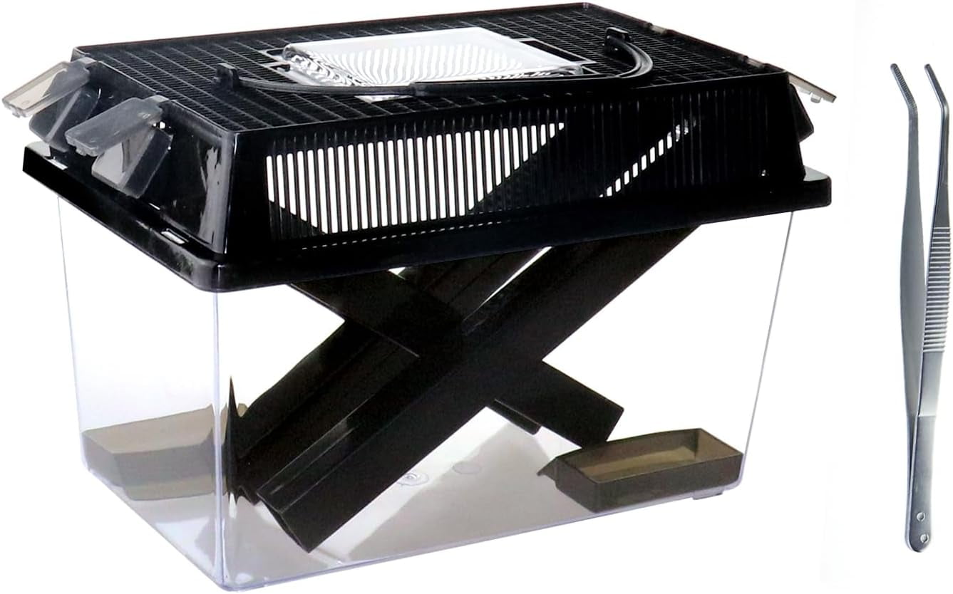 Cricket Keeper, Equipped with Water & Food Feeding Dish, High ...