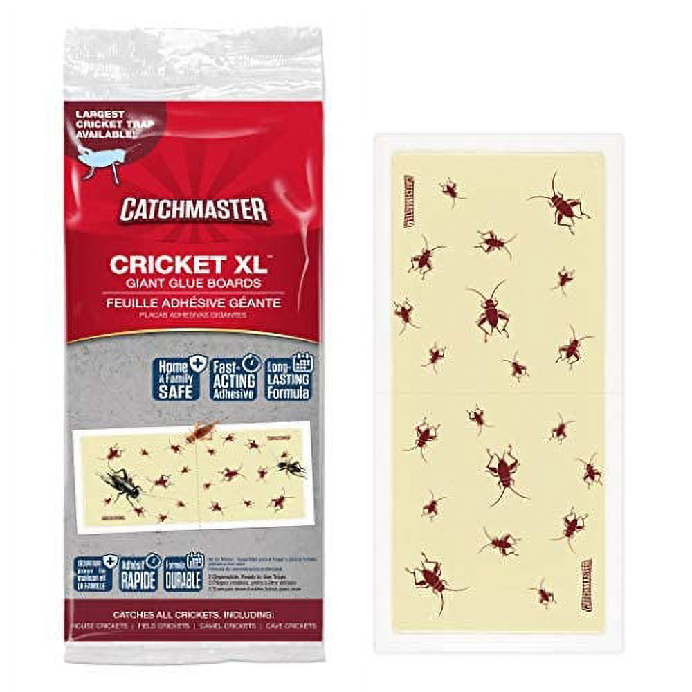 Cricket XL by Catchmaster - 6 Glue Traps, Ready to Use Indoors. Largest ...