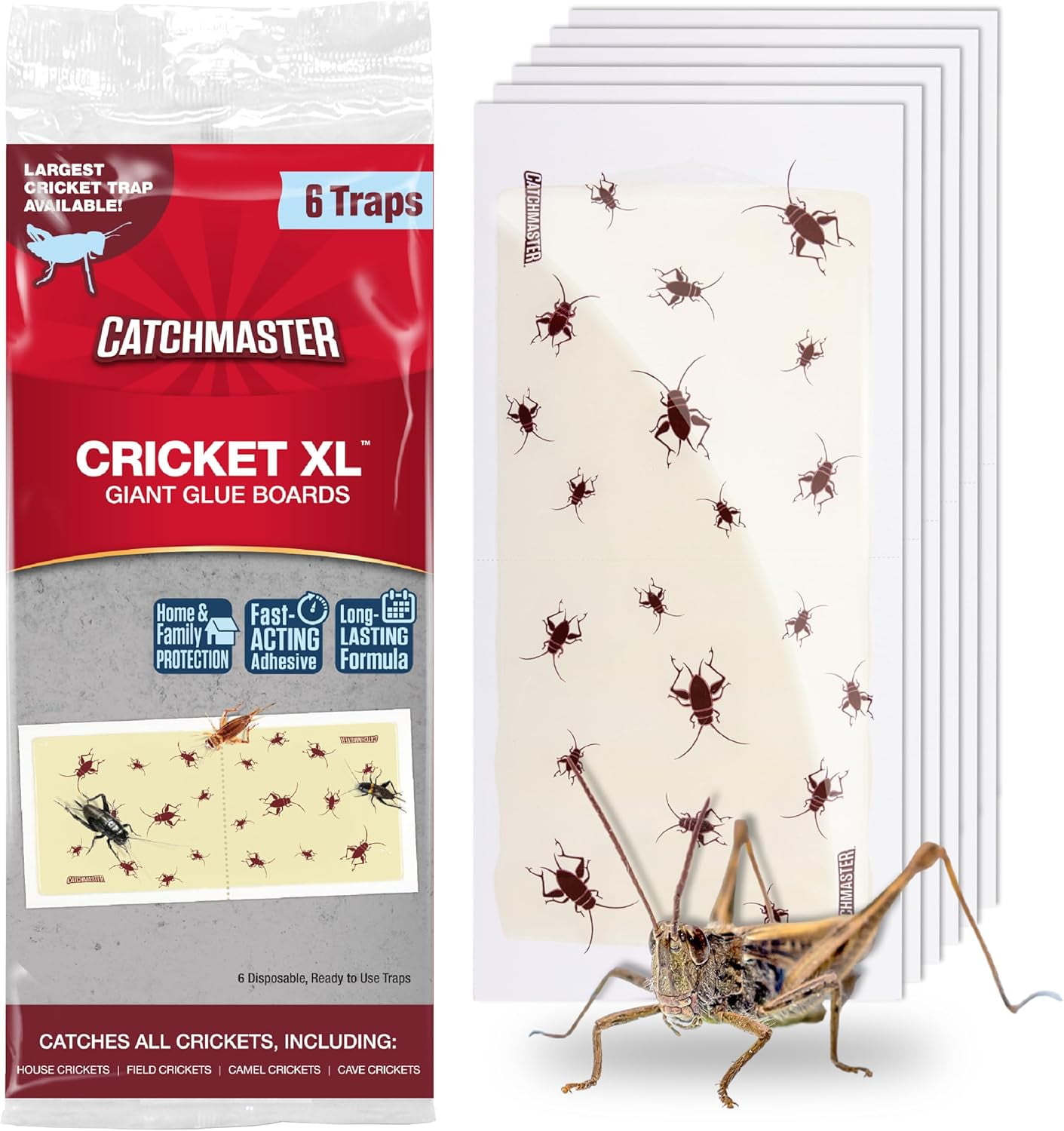 Cricket XL Giant Glue Boards 6-Pk, Adhesive Bug Catcher Cricket Traps ...
