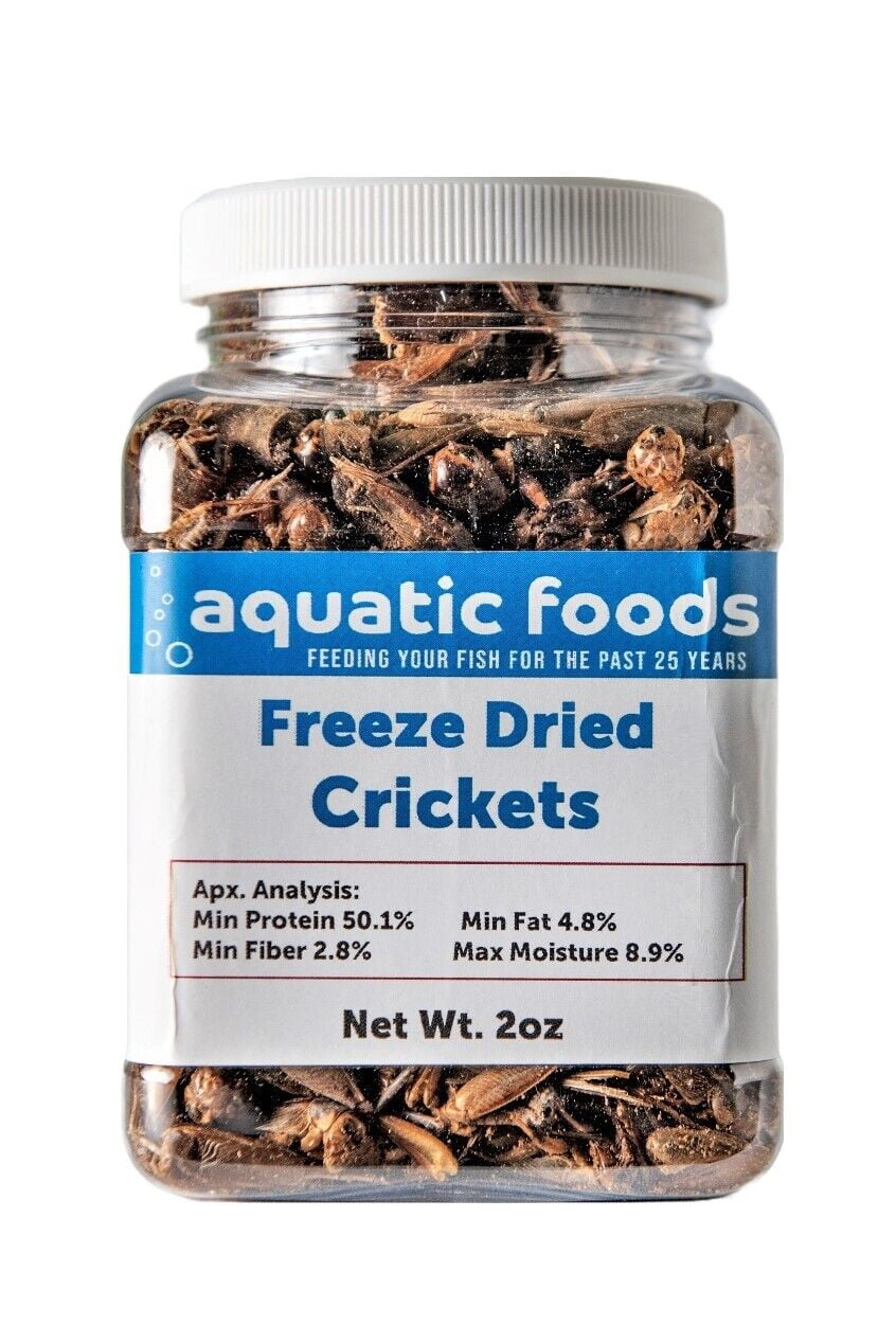 Crickets - Freeze Dried Crickets…Small Jar 2oz - Walmart.com