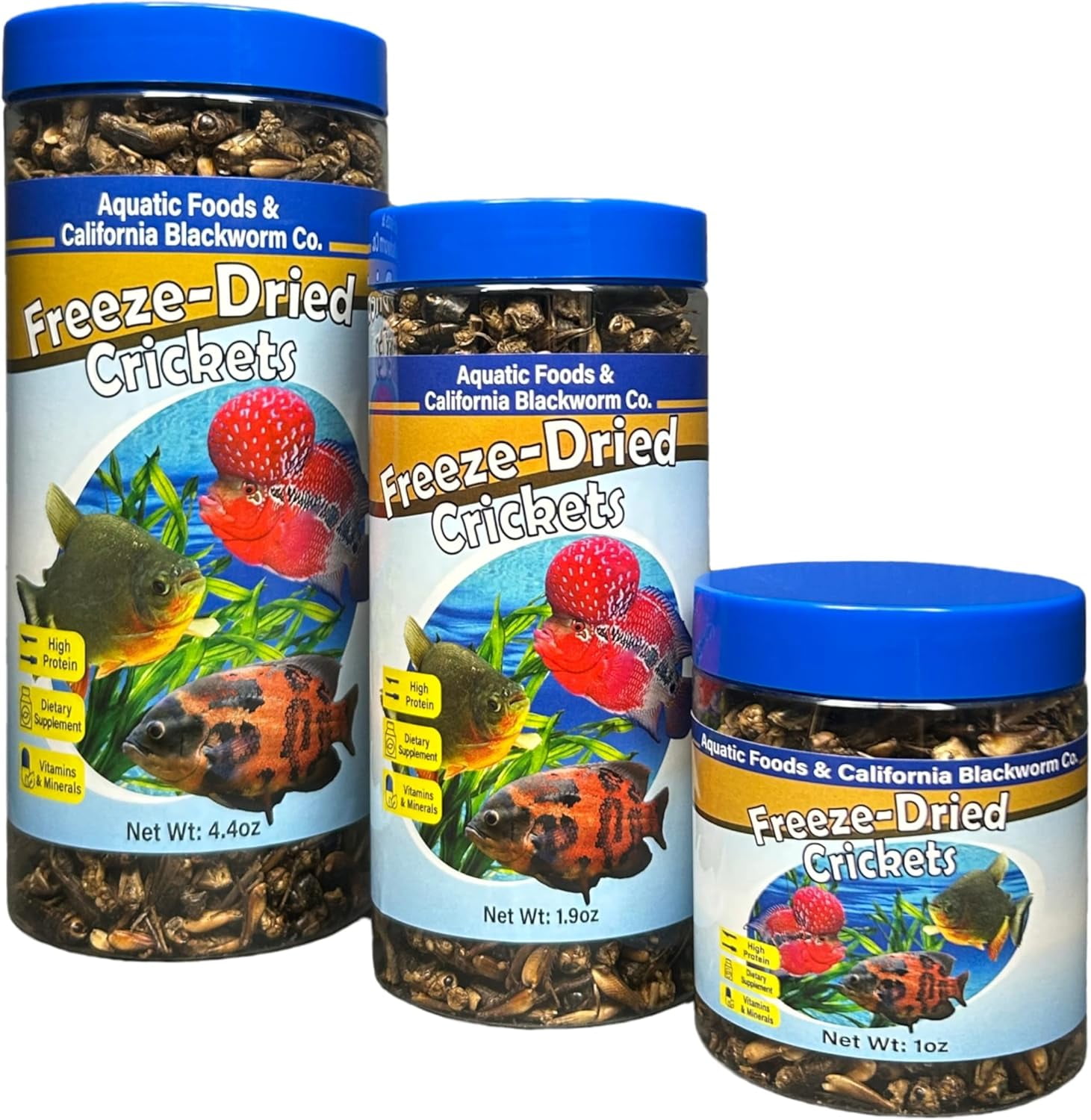 Crickets, Freeze Dried Crickets for Large Tropical Fish, Monster Fish ...