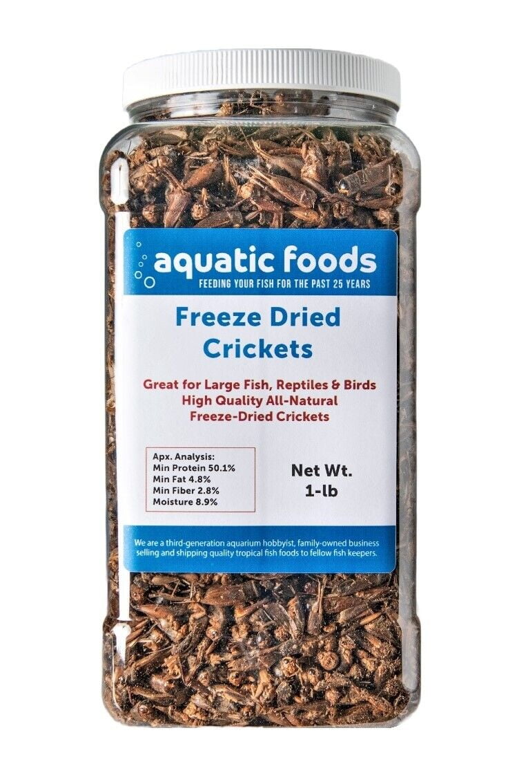 Crickets - Freeze Dried Crickets for Tropical Fish, Reptiles, Turtles ...