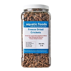 Zoo Med Can O' Grasshoppers for Reptiles or Birds [Bird Parrot Treats ...