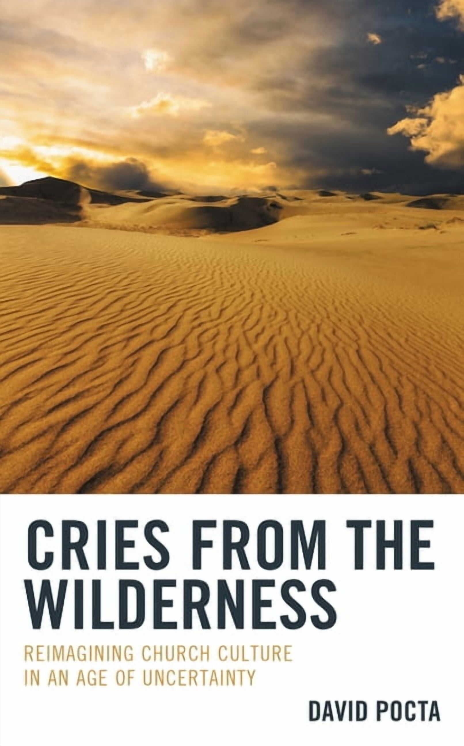 Cries from the Wilderness: Reimagining Church Culture in an Age of ...
