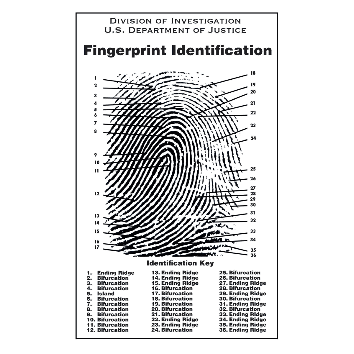 Crime Scene Fingerprint Chart, Poster Size 24" by 36" - Walmart.com