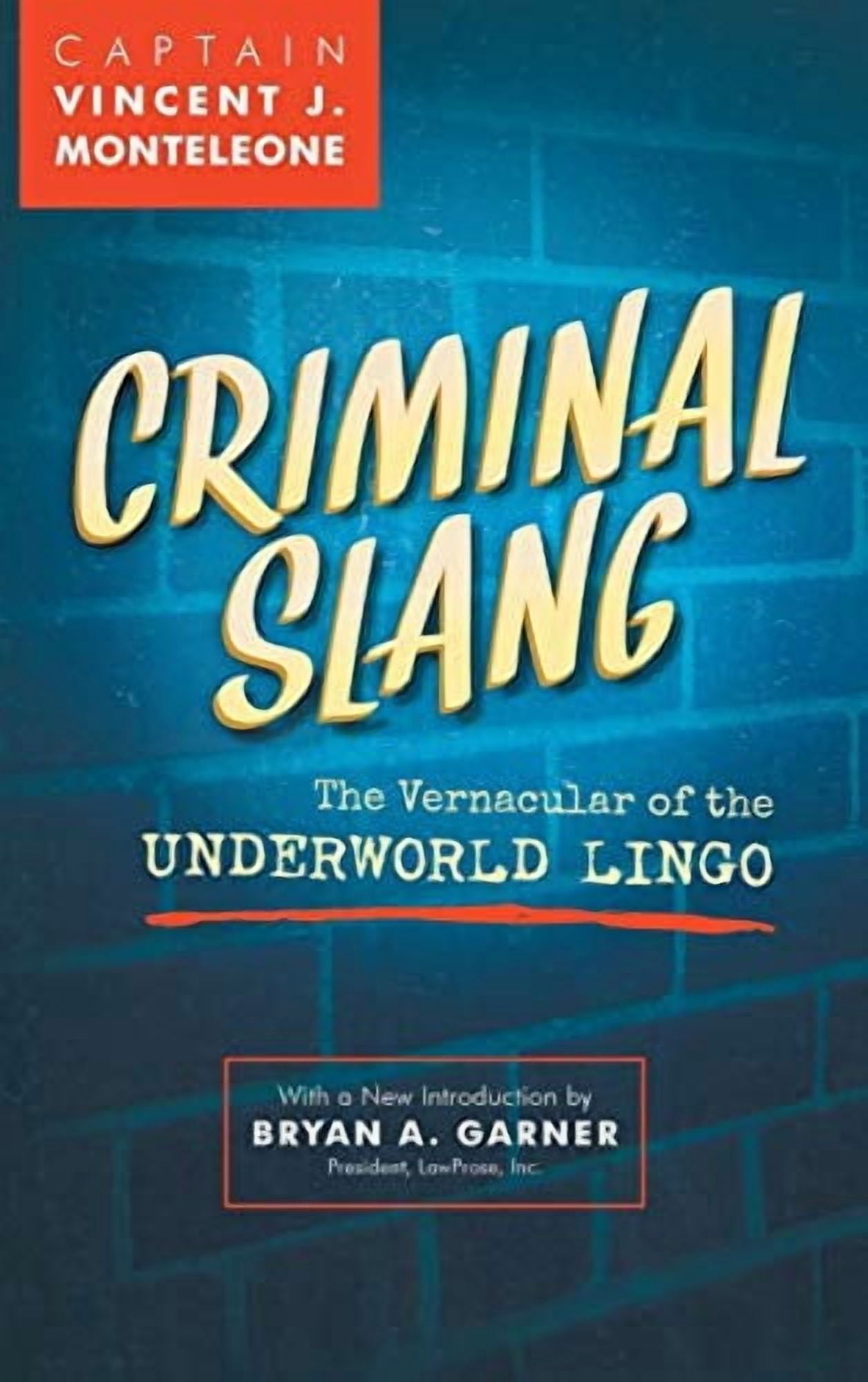 Criminal Slang: The Vernacular of the Underworld Lingo (Hardcover) by ...