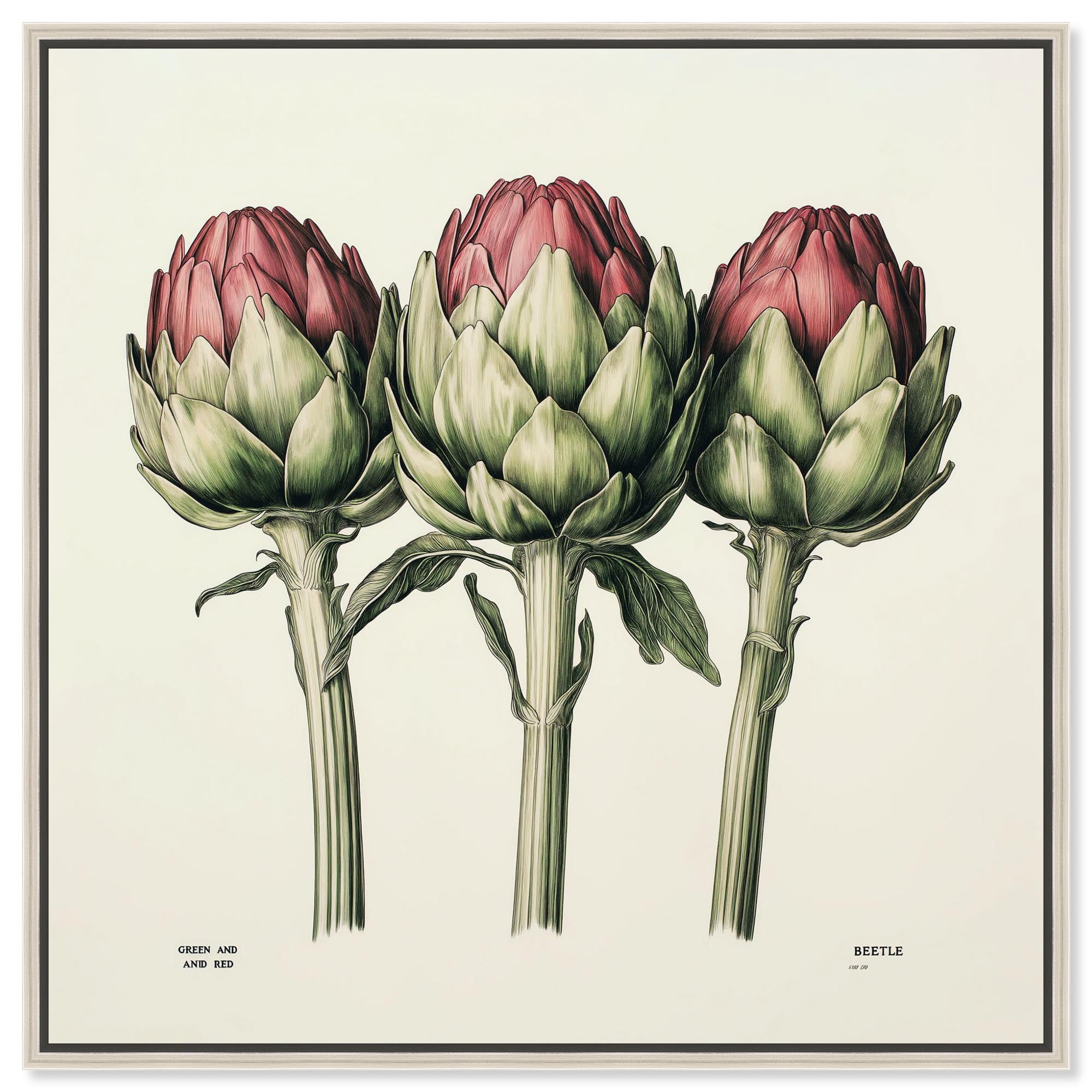 Crimson Bloom Canvas Vintage Botanic Art by Art Remedy, Silver Frame ...