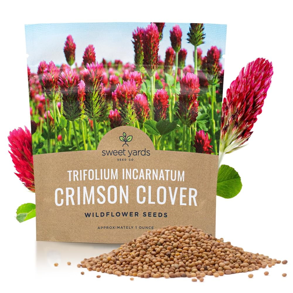 Crimson Clover Seeds - Extra Large MVR1 Packet - Over 5,000 Open ...