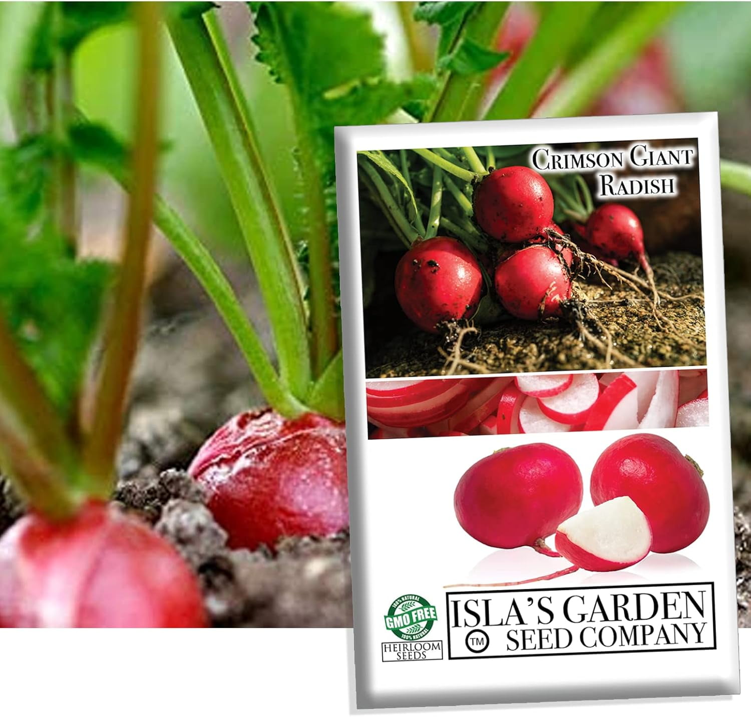 Crimson Giant Radish Seeds, 200+ Seeds Per Packet, – Non-GMO, Heirloom ...