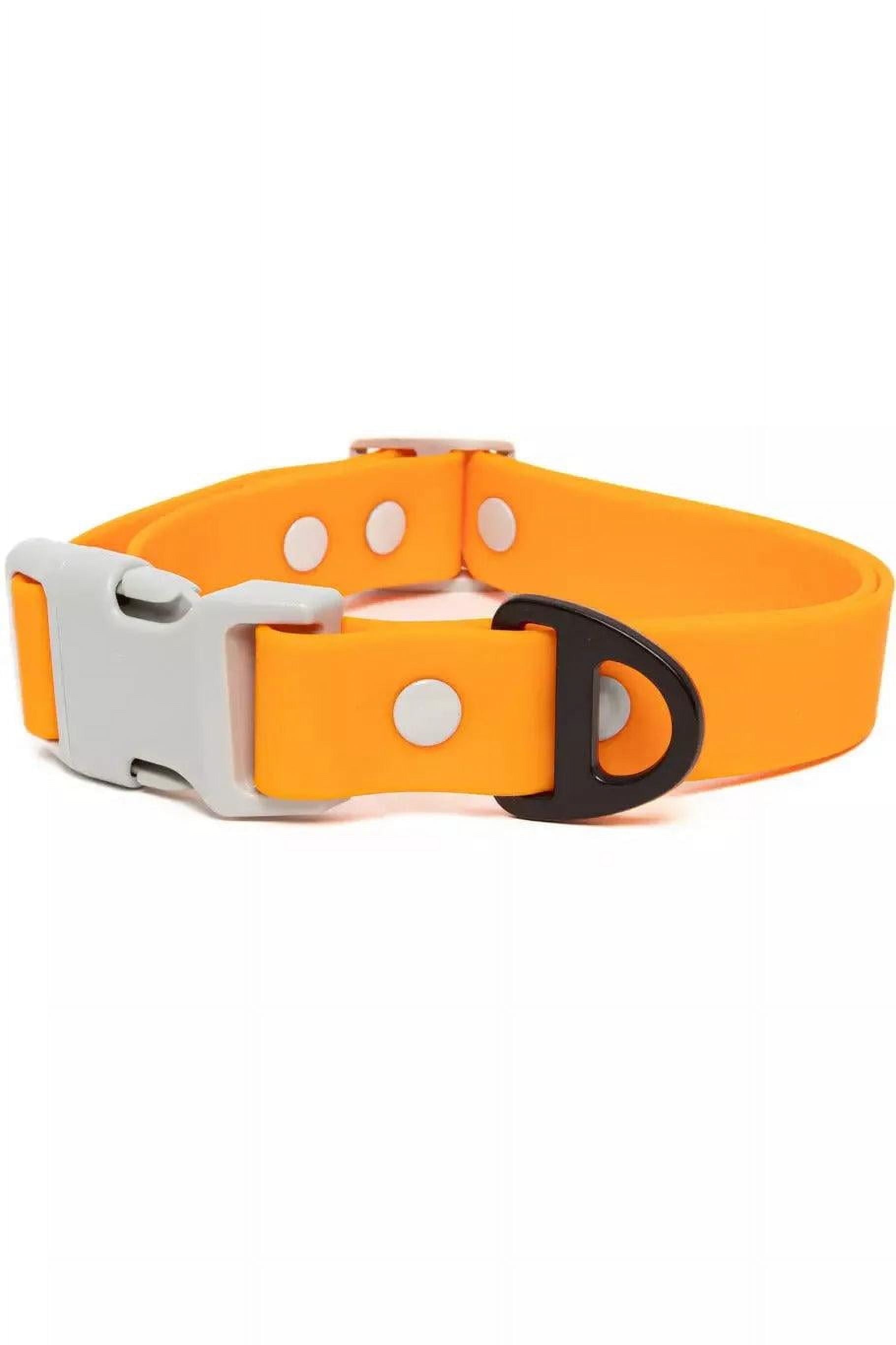 Aria the Fox Waterproof Dog Collar, 13 - 15 Inch, Orange - Walmart.com
