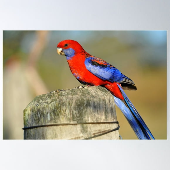 Brisbane Queensland Australia