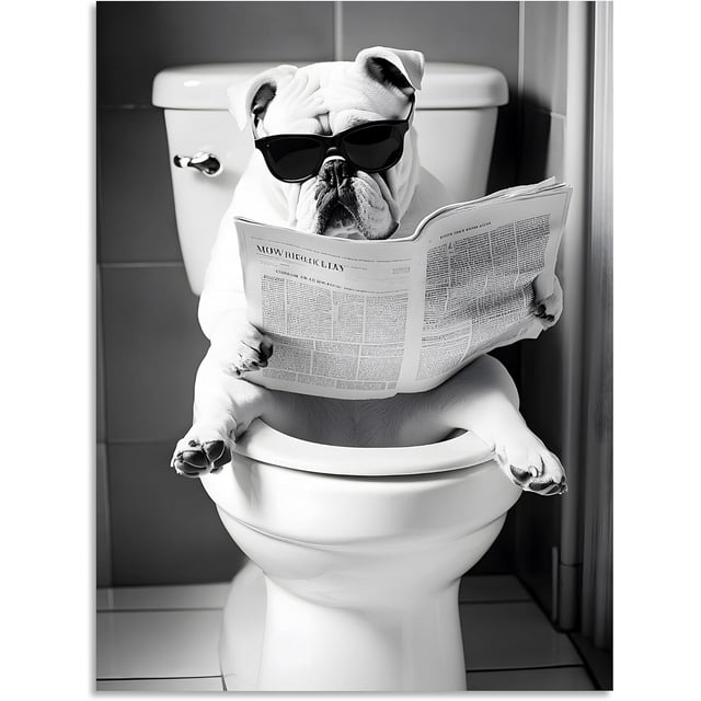 Crink Cat Bathroom Canvas Wall Art Funny Animal Bathroom Wall Art Cat ...